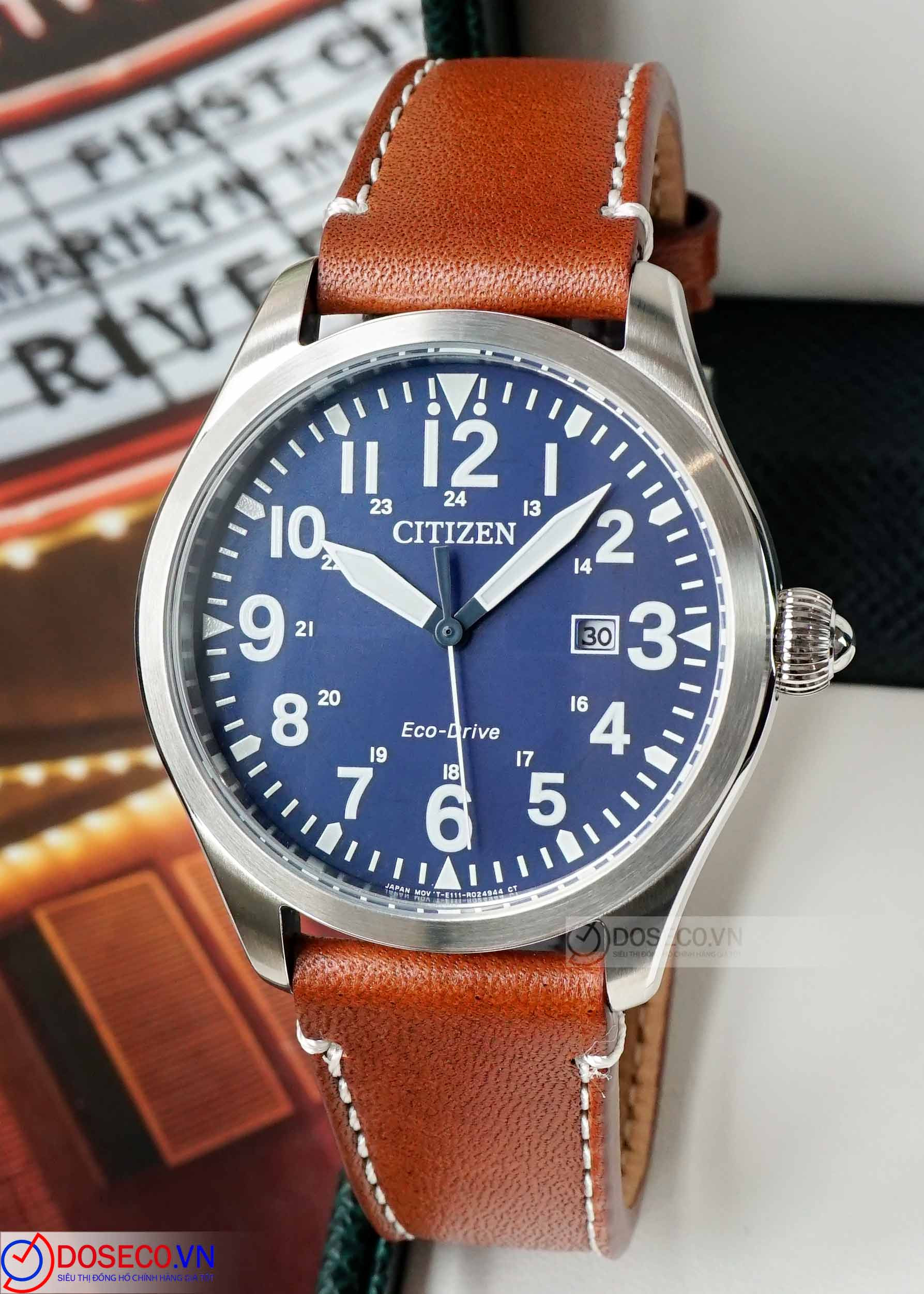Citizen Eco-Drive BM6838-33L