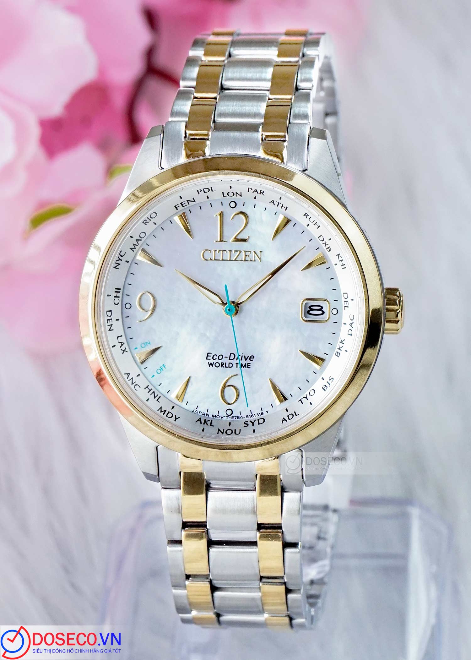 Citizen Eco-drive World Time FC8004-54D