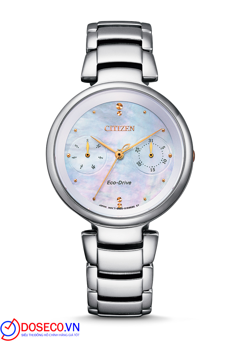 Citizen Eco-Drive FD1106-81D
