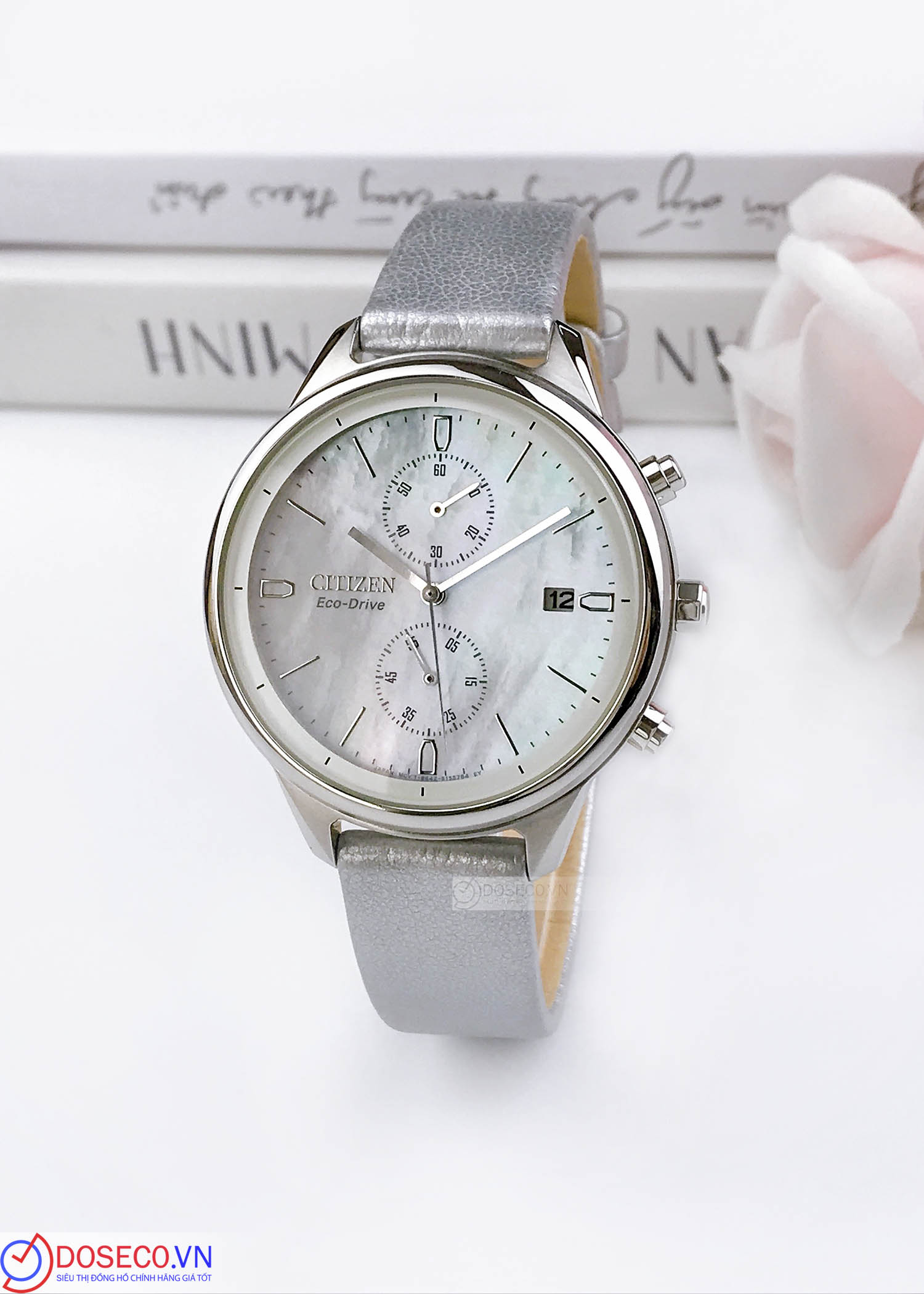 Citizen Eco-Drive FB2000-03D