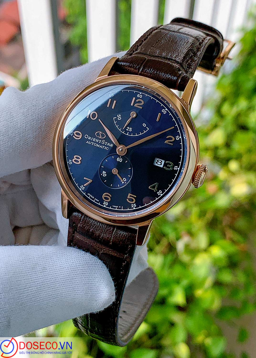 Orient Star Limited RE-AW0005L00B Used