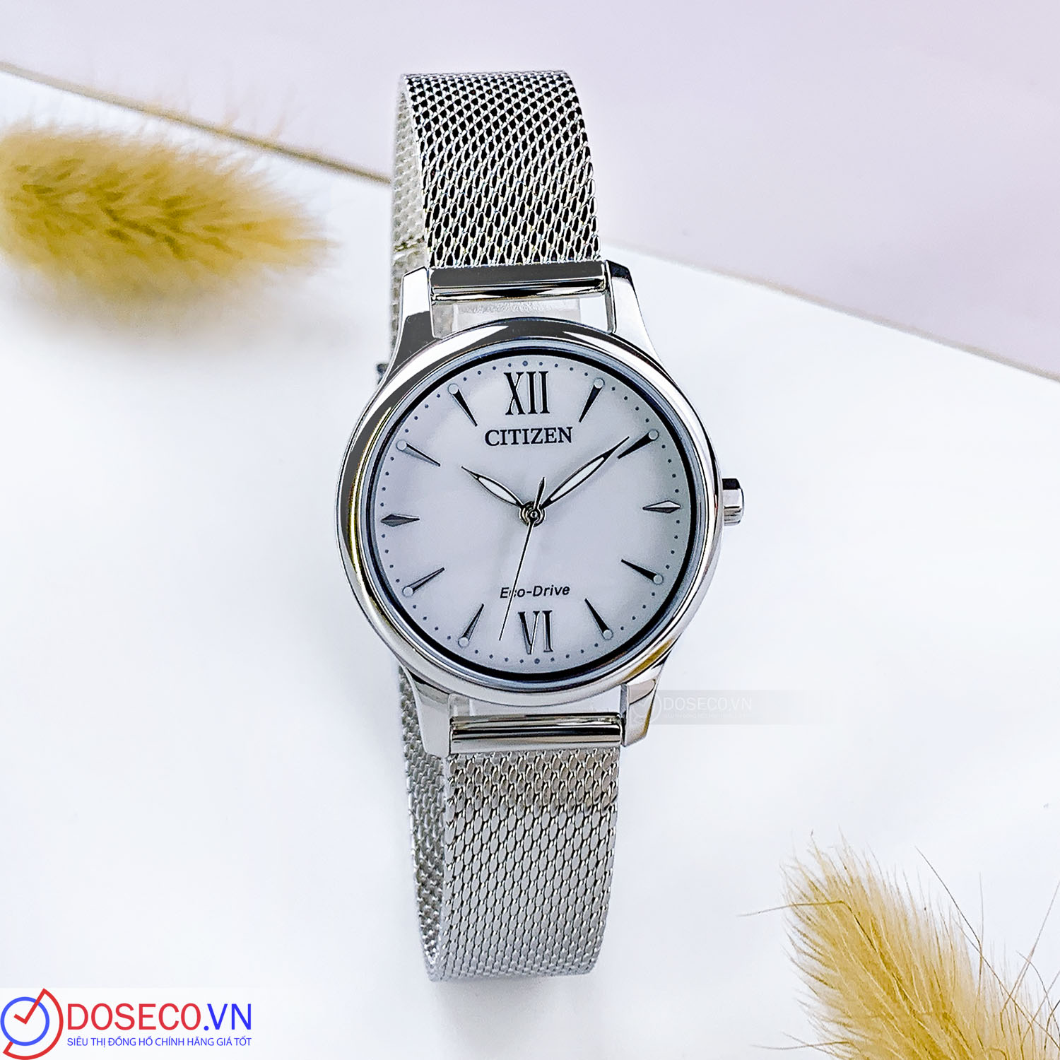 Citizen Eco-drive EM0899-81A