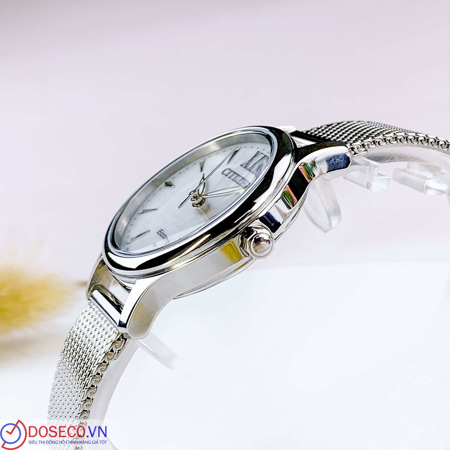 Citizen Eco-drive EM0899-81A