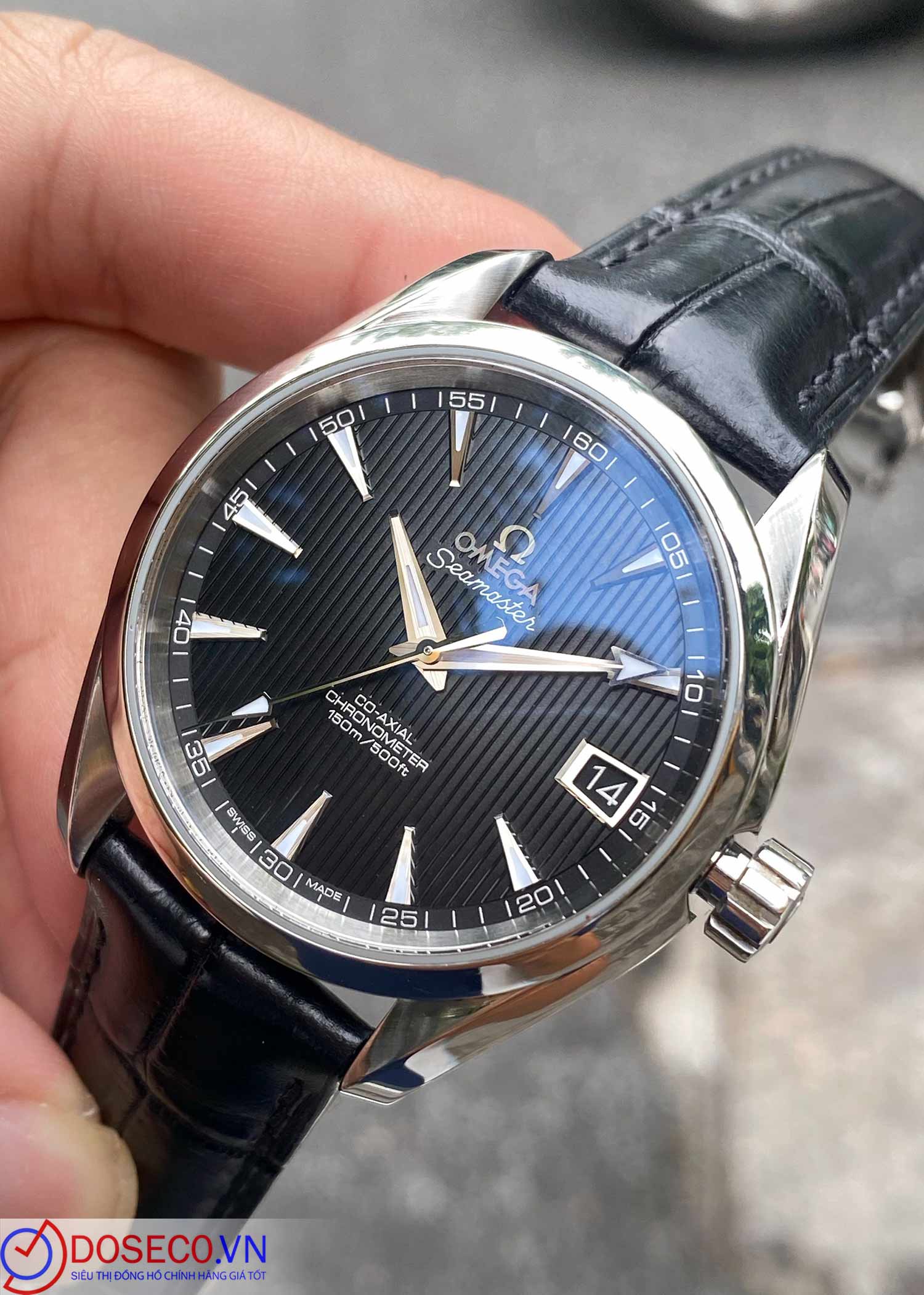 Omega Seamaster Aqua Terra Chronometer 231.13.39.21.01.001 ...